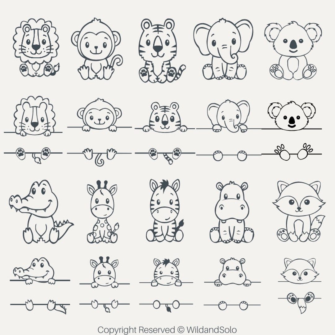 Safari Animals Outline SVG, Split Safari Animals Outline, Student Name ...