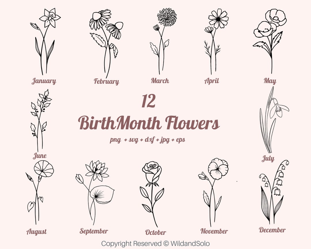 Geboortemaand Svg-bundel Wilde bloem SVG Geboorte bloem SVG Bloemen-svg ...