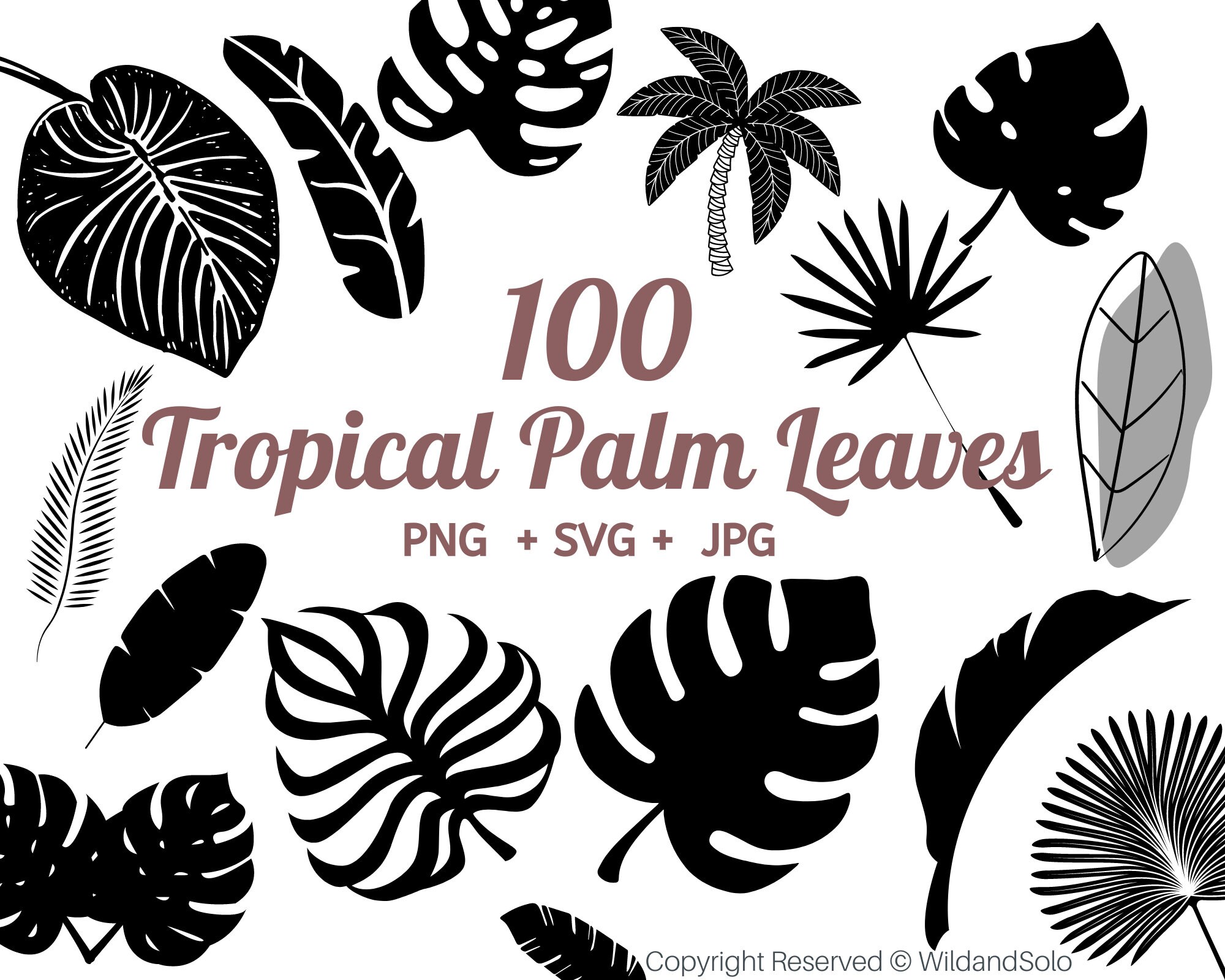 Tropical Palm Leaf Svg Palm Branch Svg Palm Leaf Svg - Etsy Ireland