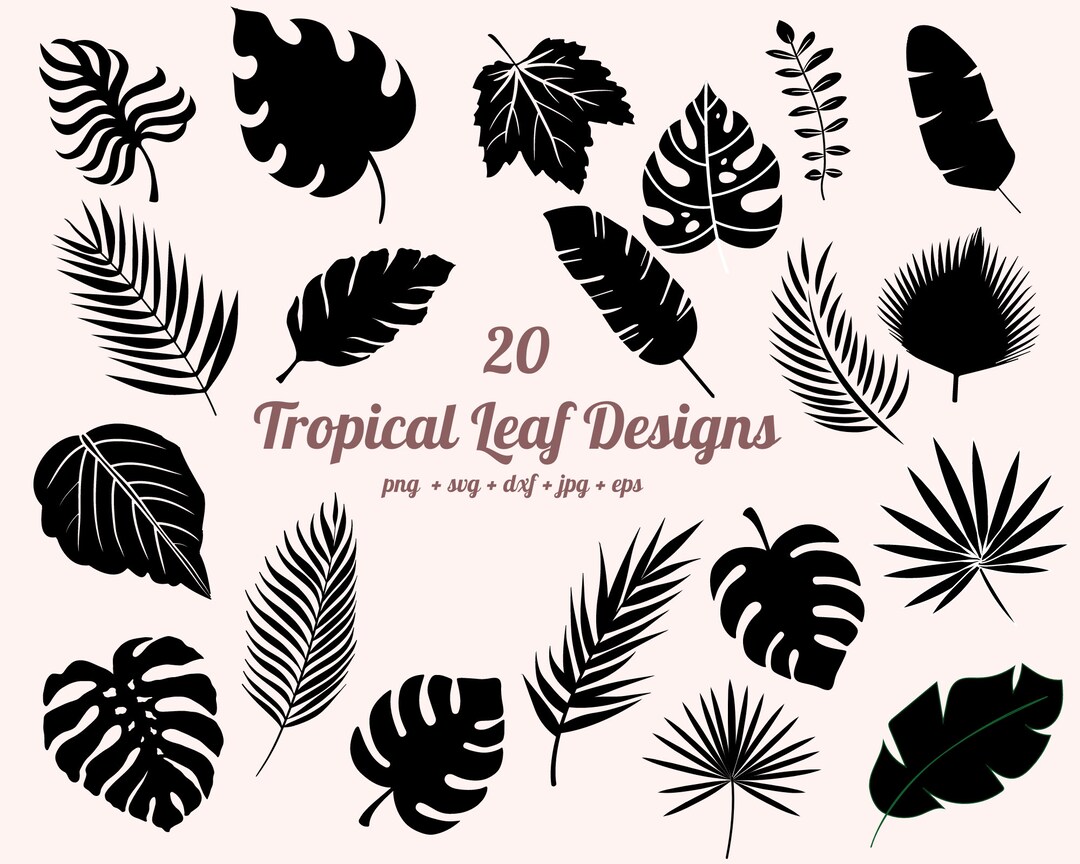 Palm Leaf Svg Palm Branch Svg Tropical Leaf Svg Tropical - Etsy