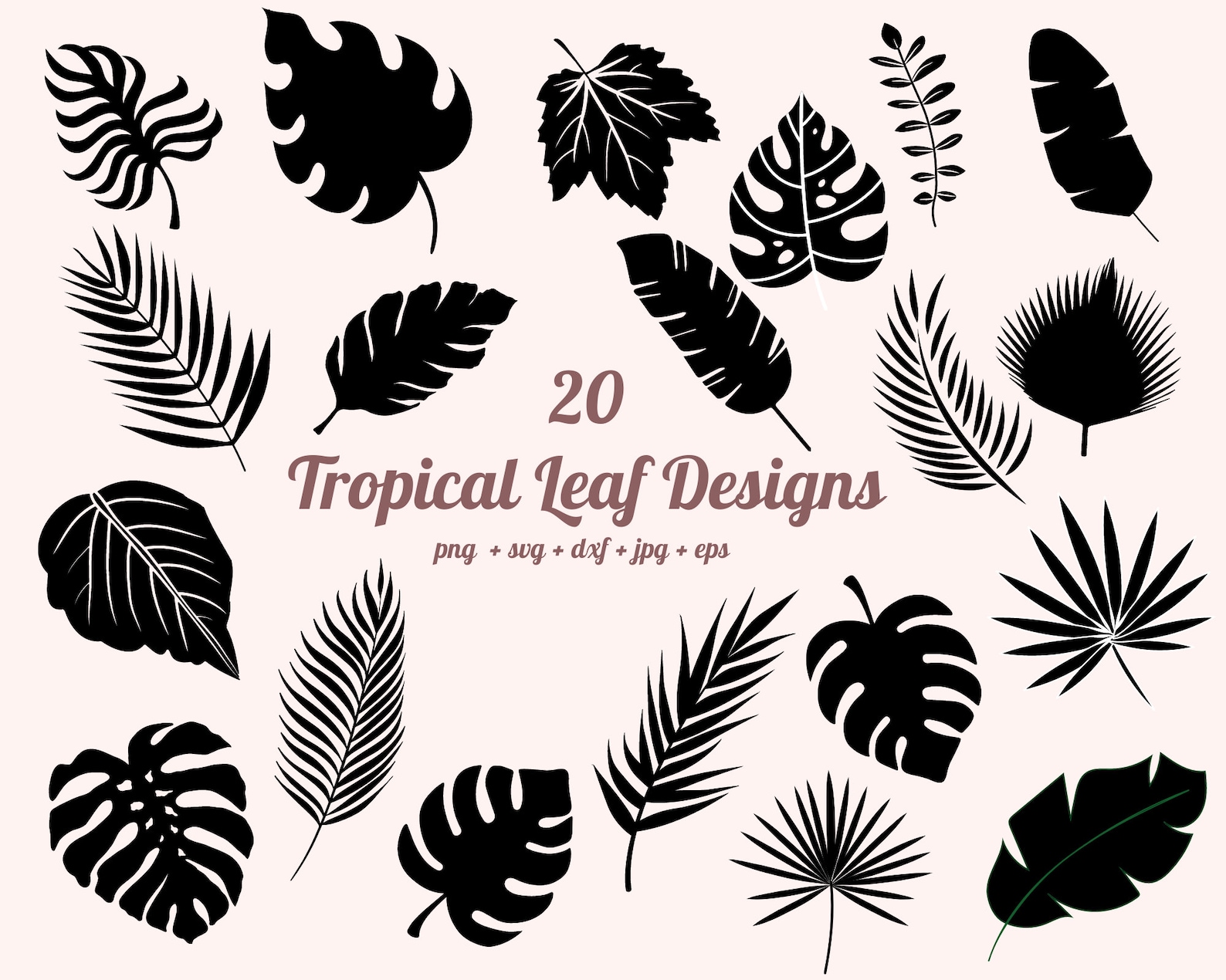 Palm Leaf Svg Palm Branch Svg Tropical Leaf Svg Tropical - Etsy