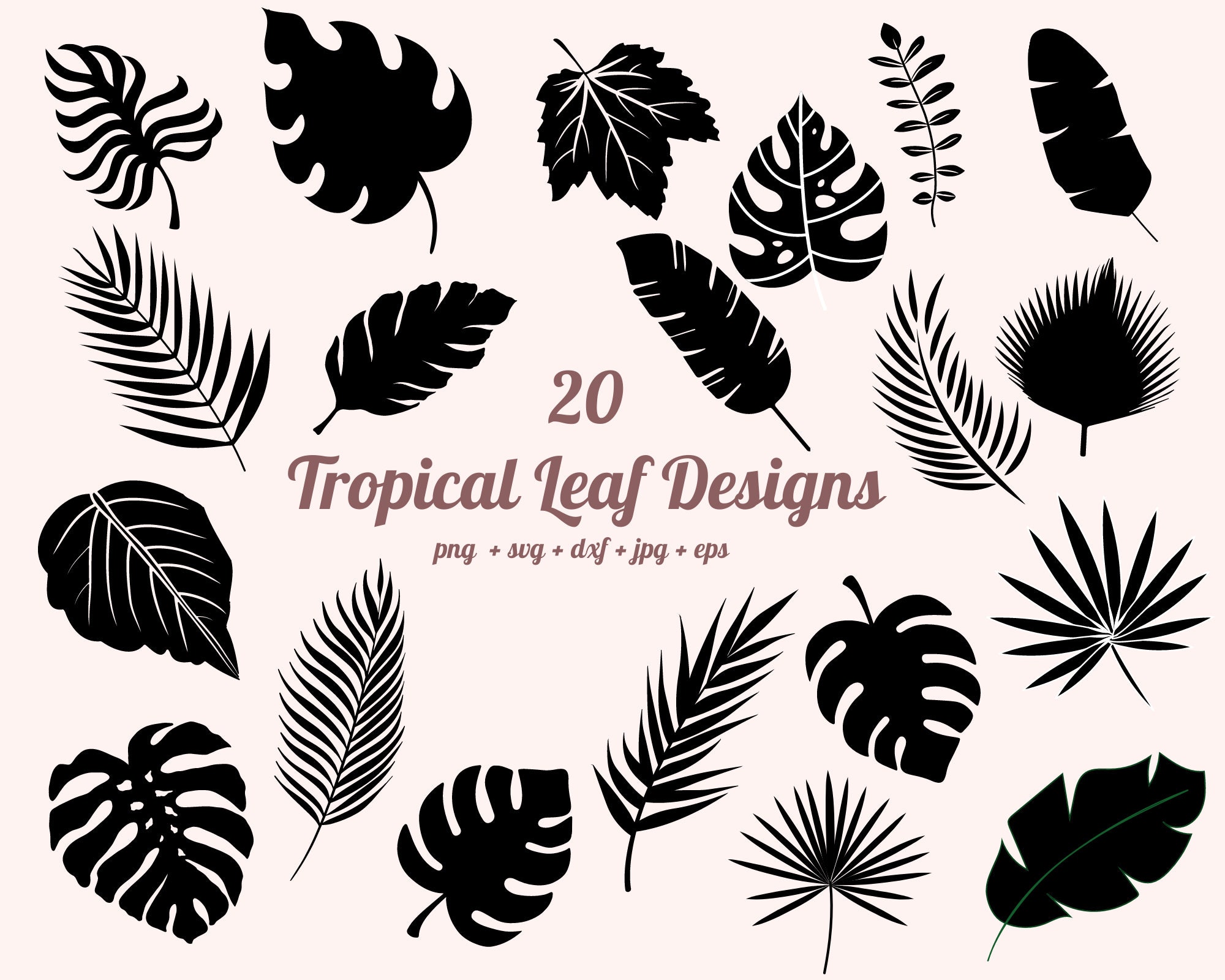 Palm Leaf Svg Palm Branch Svg Tropical Leaf Svg Tropical - Etsy