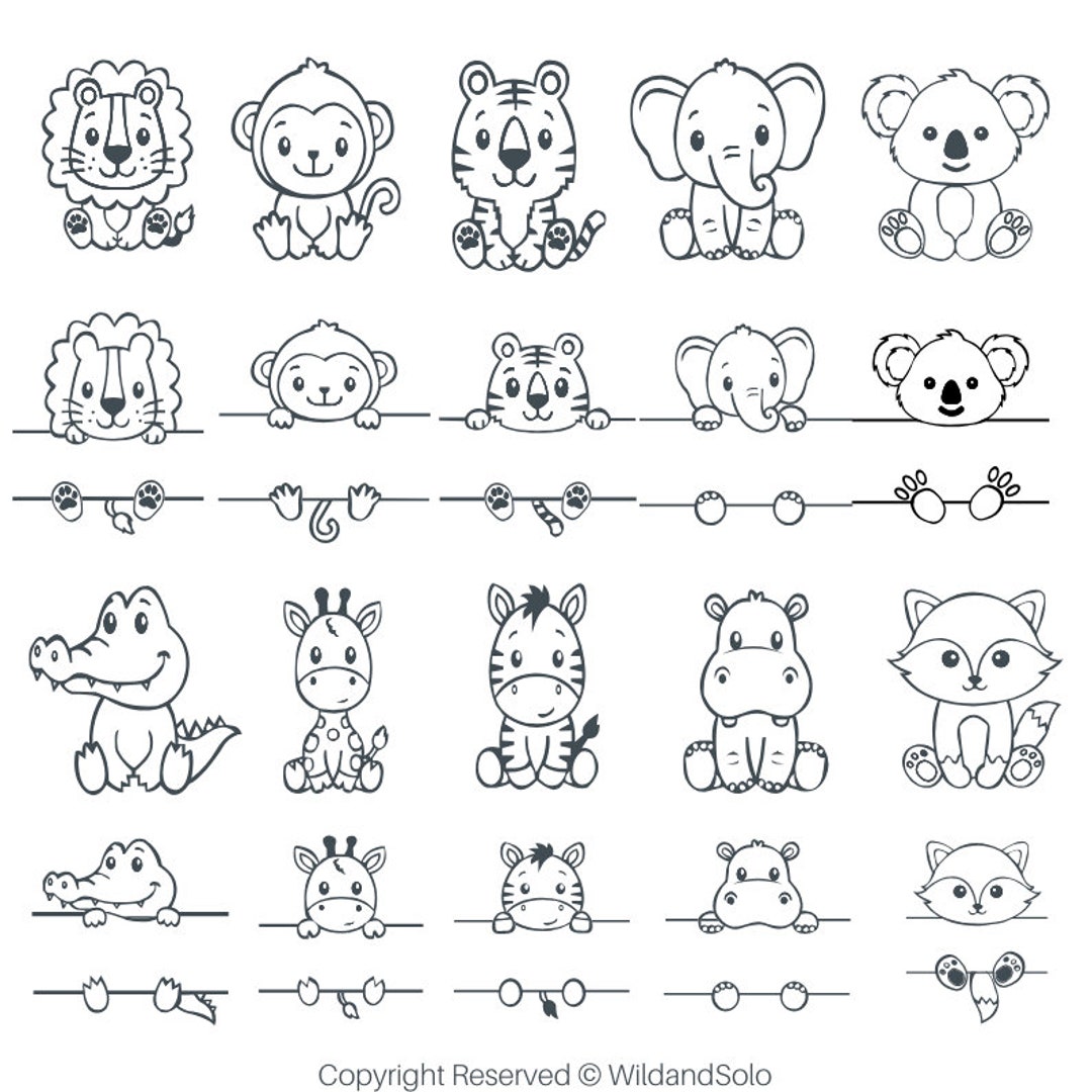 Safari Animals Outline SVG, Split Safari Animals Outline, Student Name ...