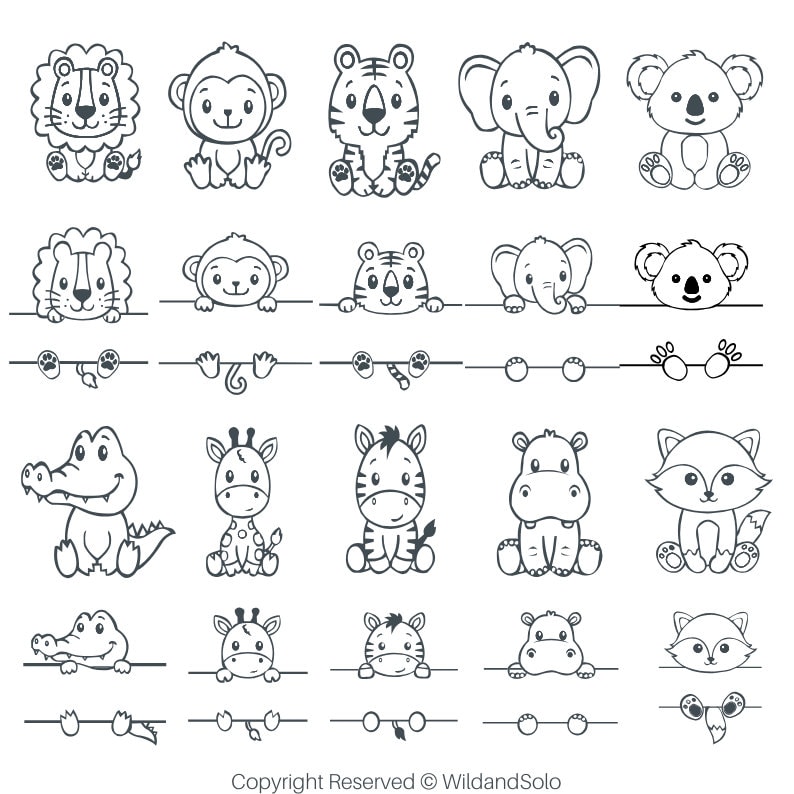 Safari Animals Outline SVG, Split Safari Animals Outline, Student Name ...