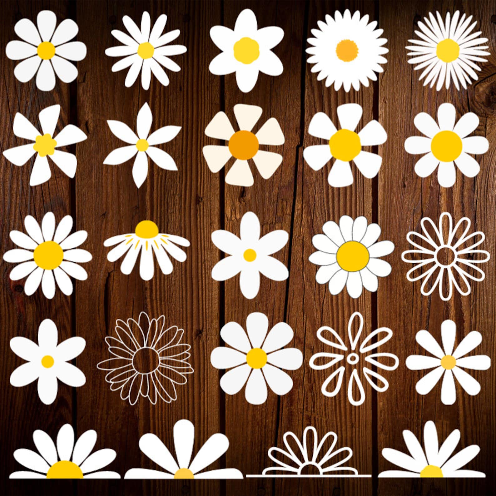 DAISY SVG, DAISY Flower Clipart, Daisy Svg Cut Files for Cricut, Daisy ...