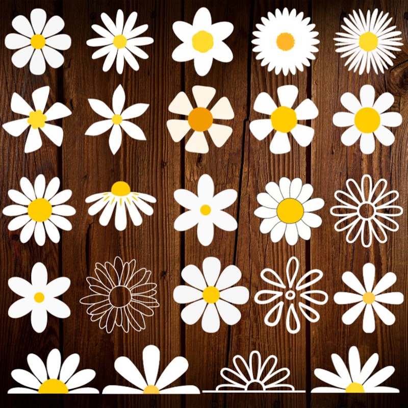 White Daisy Svg - Etsy