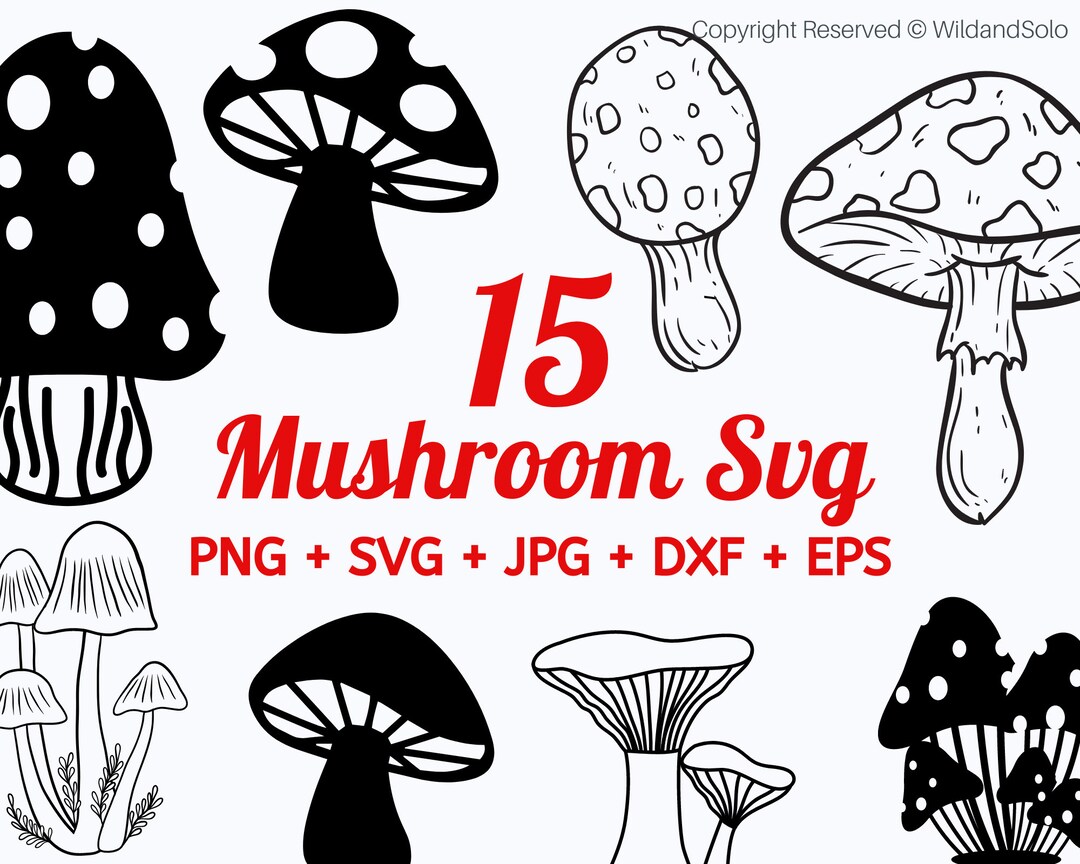 Setas SVG, Setas florales SVG, Setas DIY svg, Setas místicas png ...