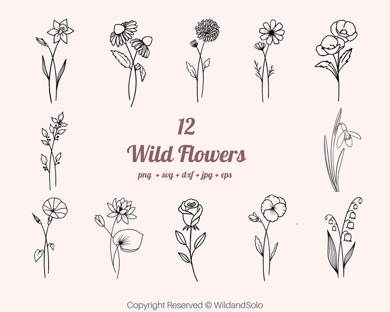 Wildflowers Svg Bouquet Svg Bundle Floral Svg Wild Flower - Etsy