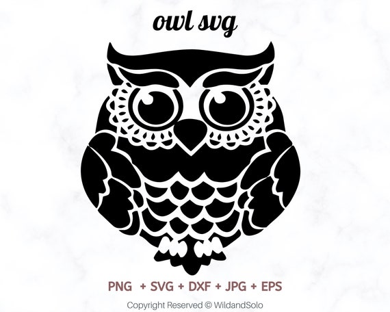 Owl Svg Birds Svg Bundle Owl Cut File Cute Owl Svg Owl - Etsy