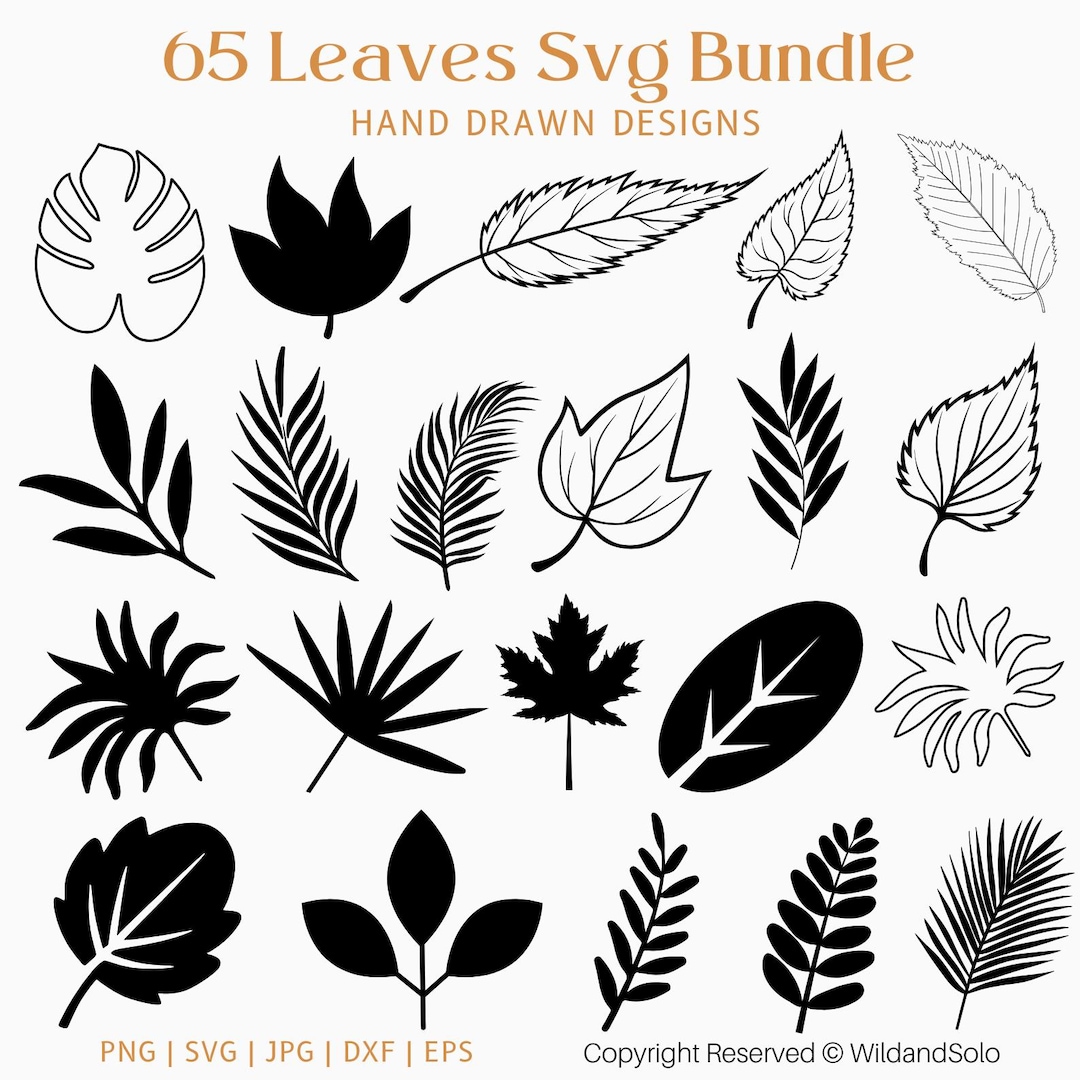 65 Leaves Svg Bundle, Fall Leaves Svg, Leave Vine Svg, Hand Drawn ...
