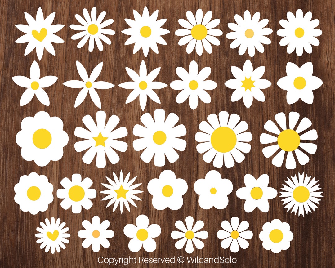 30daisy SVG Bundle Flower Svg,floral Svg,spring Summer Svg,retro Flower ...