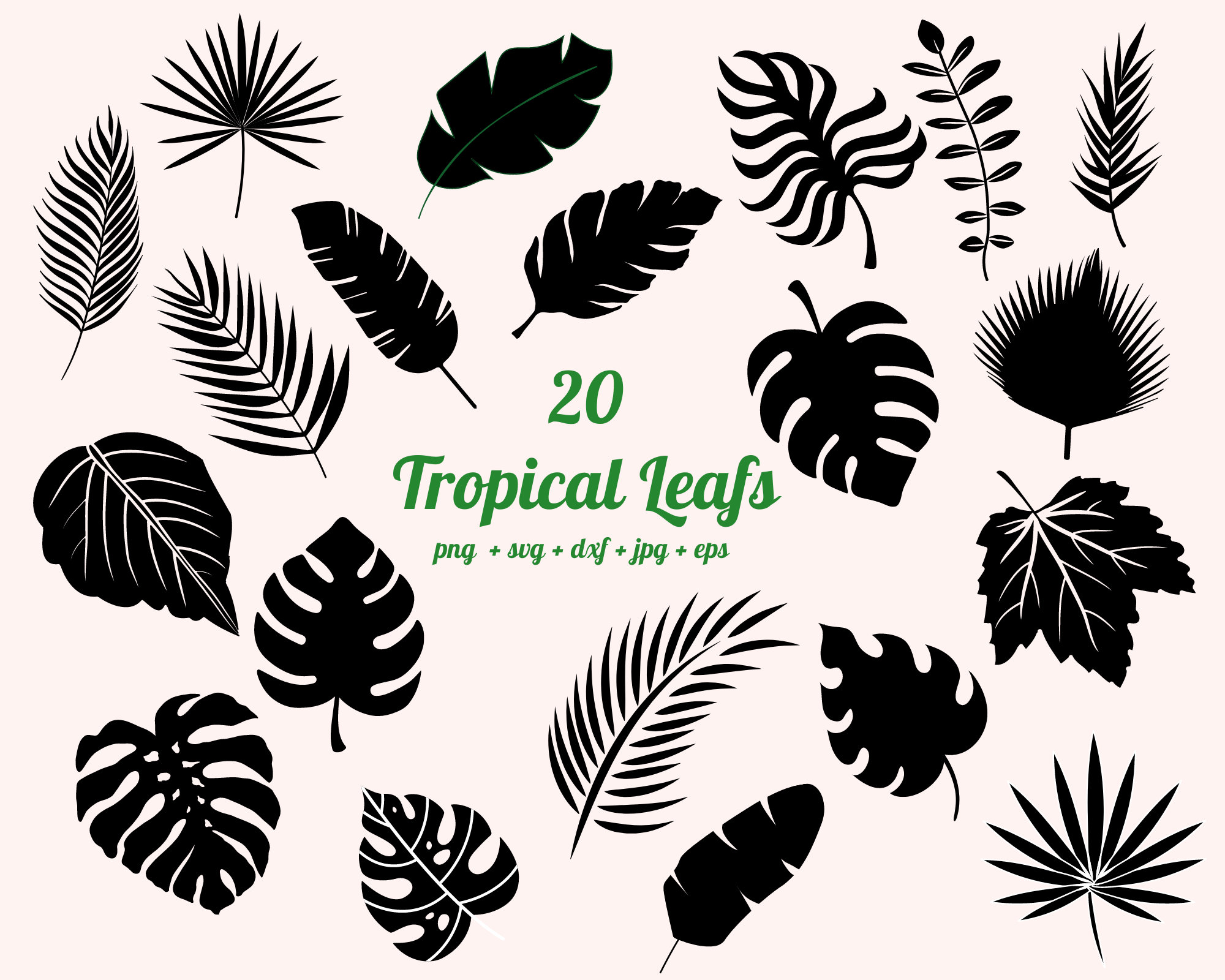 Tropical Leaf Svg Tropical Leaves Svg Tropical Party Decor - Etsy Australia