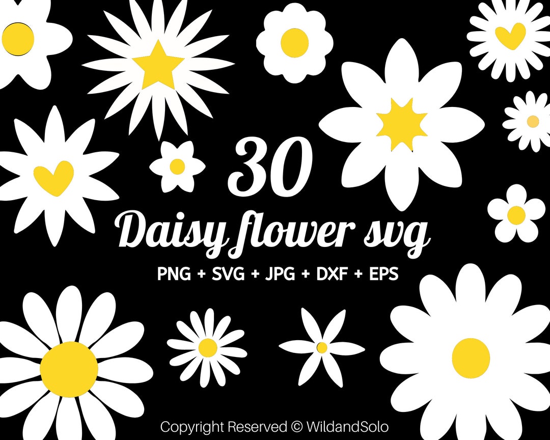 30daisy SVG Bundle Flower Svg,floral Svg,spring Summer Svg,retro Flower ...