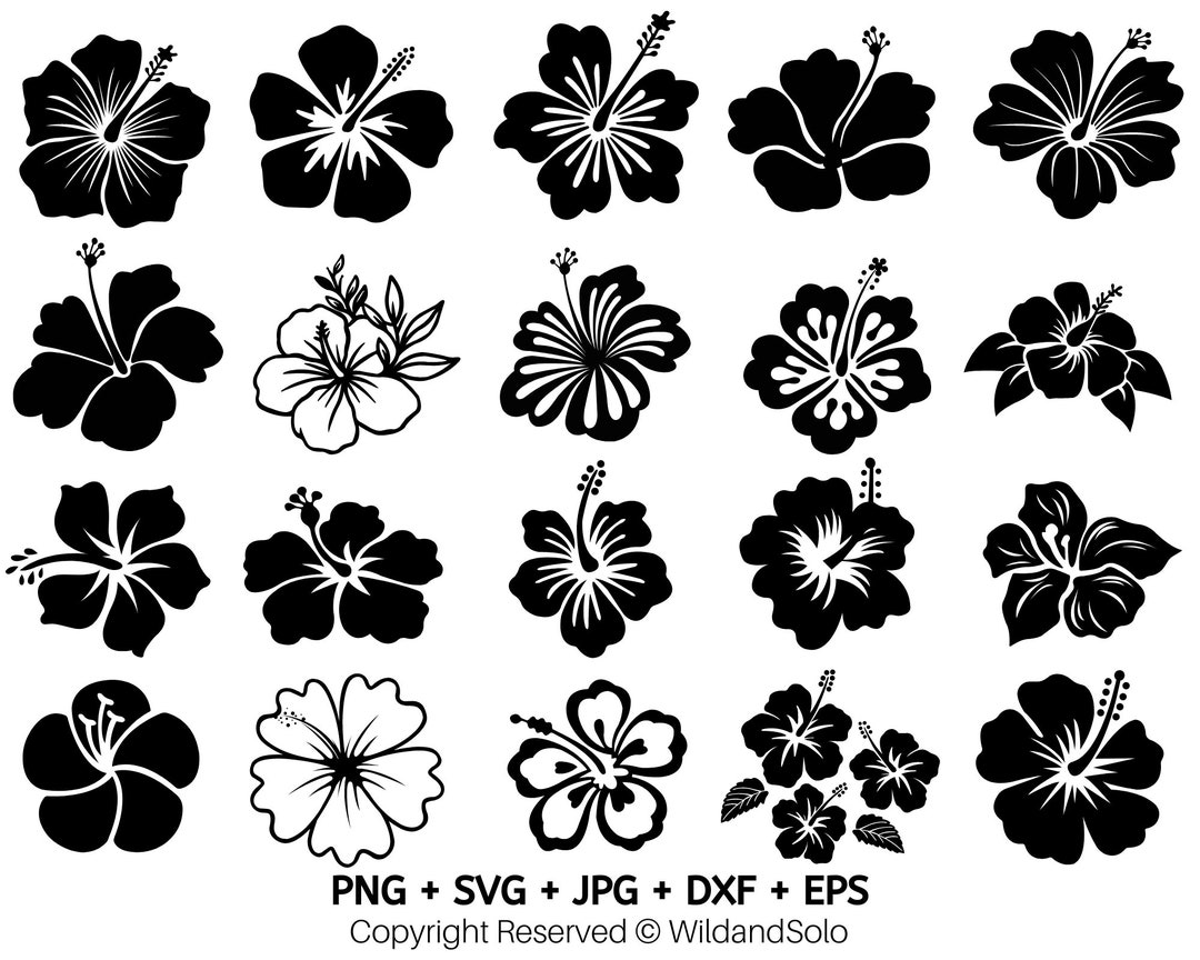 20 Hawaii Hibiscus Flower Svg Bundle, Tropical Flower Svg, Cricut Cut ...