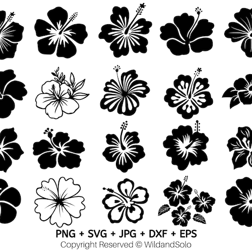 40 Hawaii Hibiscus Flower Svg Bundle Hawaiian Flower Svg - Etsy