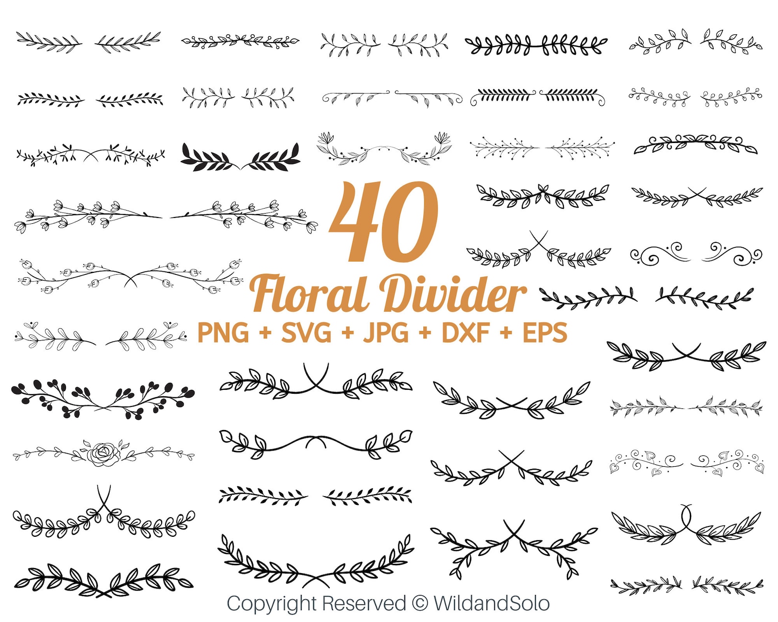40 Floral Divider Svg, Floral Divider Svgs, Decorative Borders, Text ...