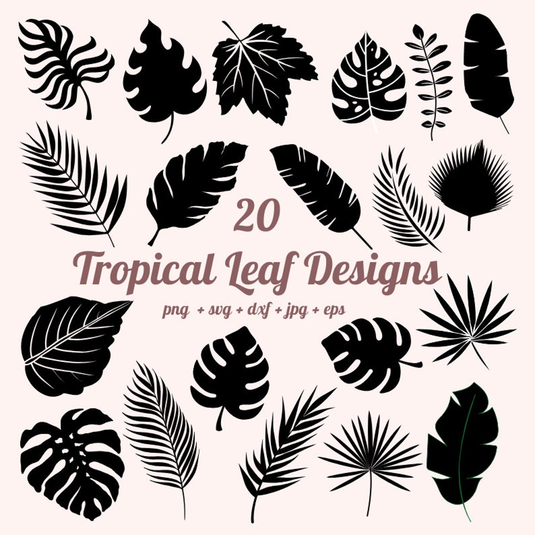 Palm Leaf Svg, Palm Branch Svg, Tropical Leaf Svg, Tropical Leaves Svg ...