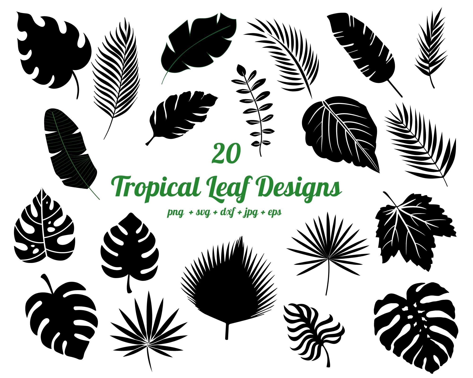Tropical Leaves Svg Hibiscus Svg Tropical Leaf Svg Tropical - Etsy