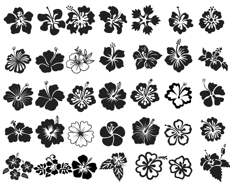 80 Hawaii Hibiscus Flower Svg Bundle Tropical Flower Svg - Etsy