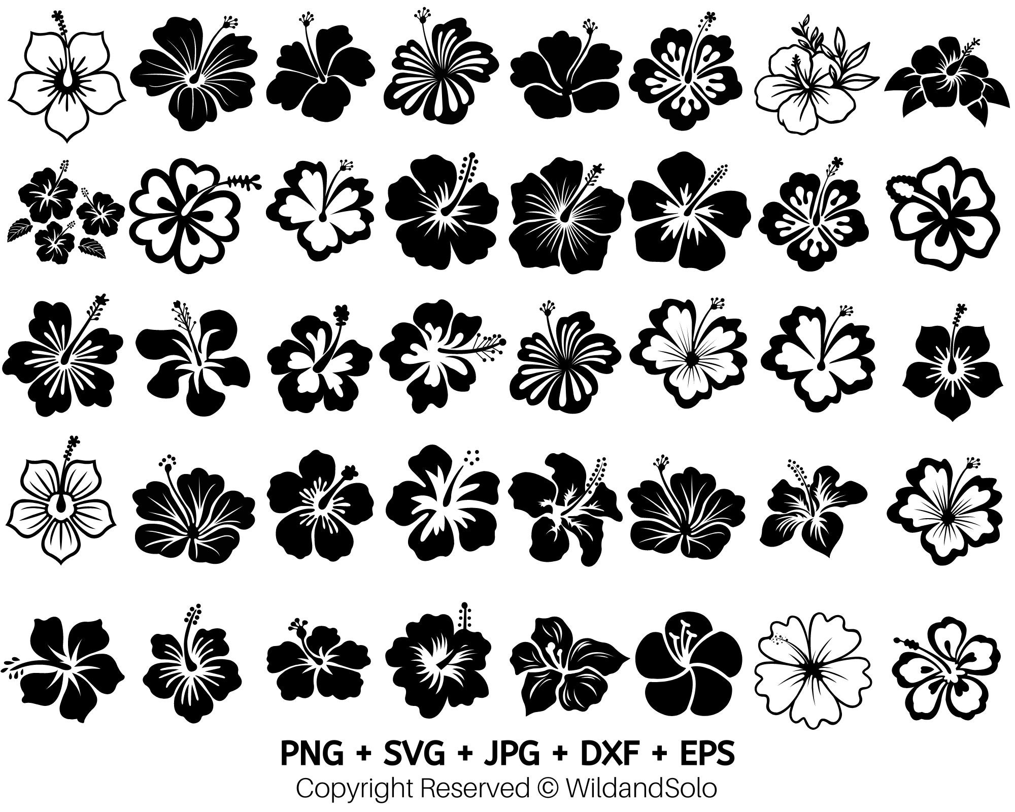 40 Hawaii Hibiscus Flower Svg Bundle Tropical Flower Svg Etsy