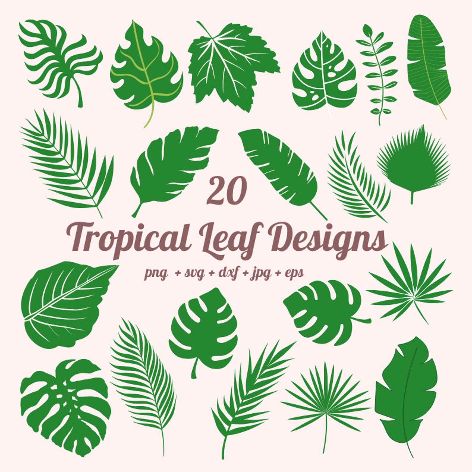 Tropical Leaves Svg, Hibiscus Svg, Tropical Leaf Svg, Tropical Party ...