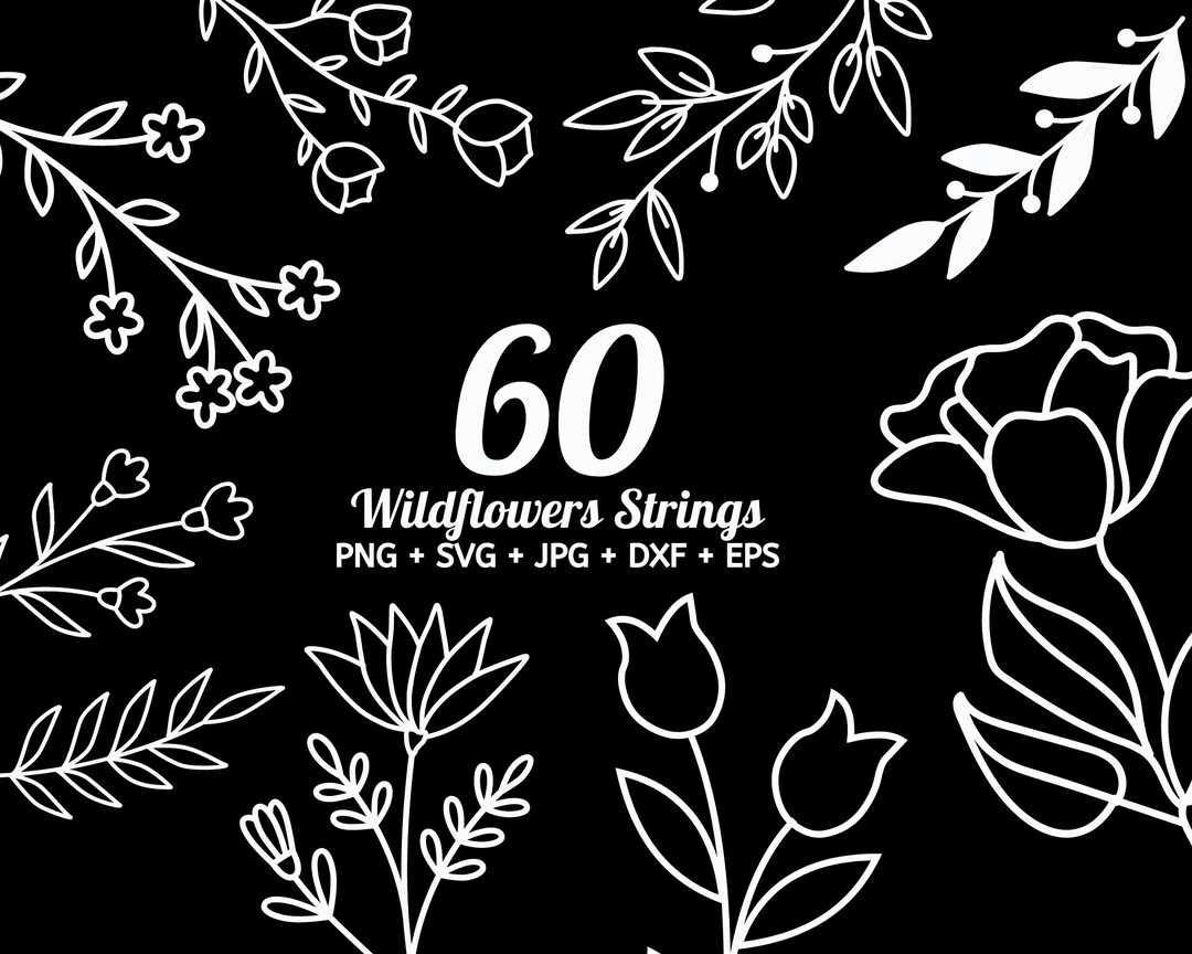 60 Wildflower Svg Bundle Floral Svg Flower Sketch Svg Birth Flowers