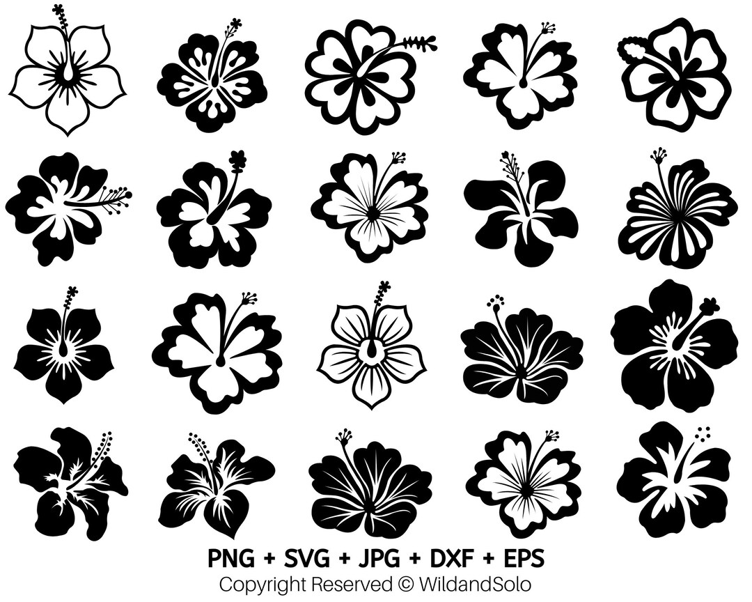 20 Hawaii Hibiscus Flower Svg Bundle, Hawaiian Flower Svg, Flowers ...