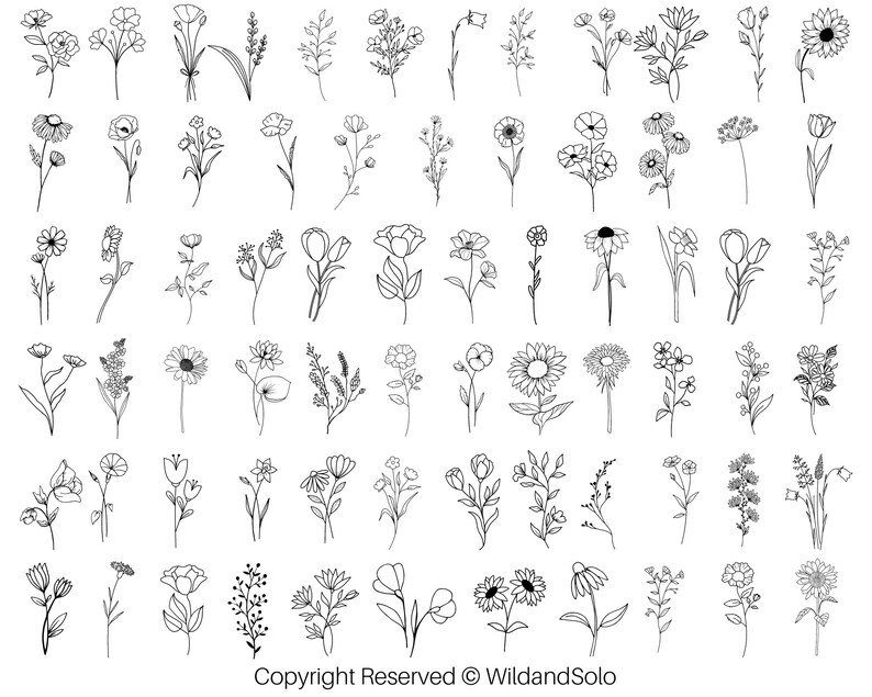 70 Flowers Svg Bundle Floral Svg Minimalist Svg Wildflowers - Etsy