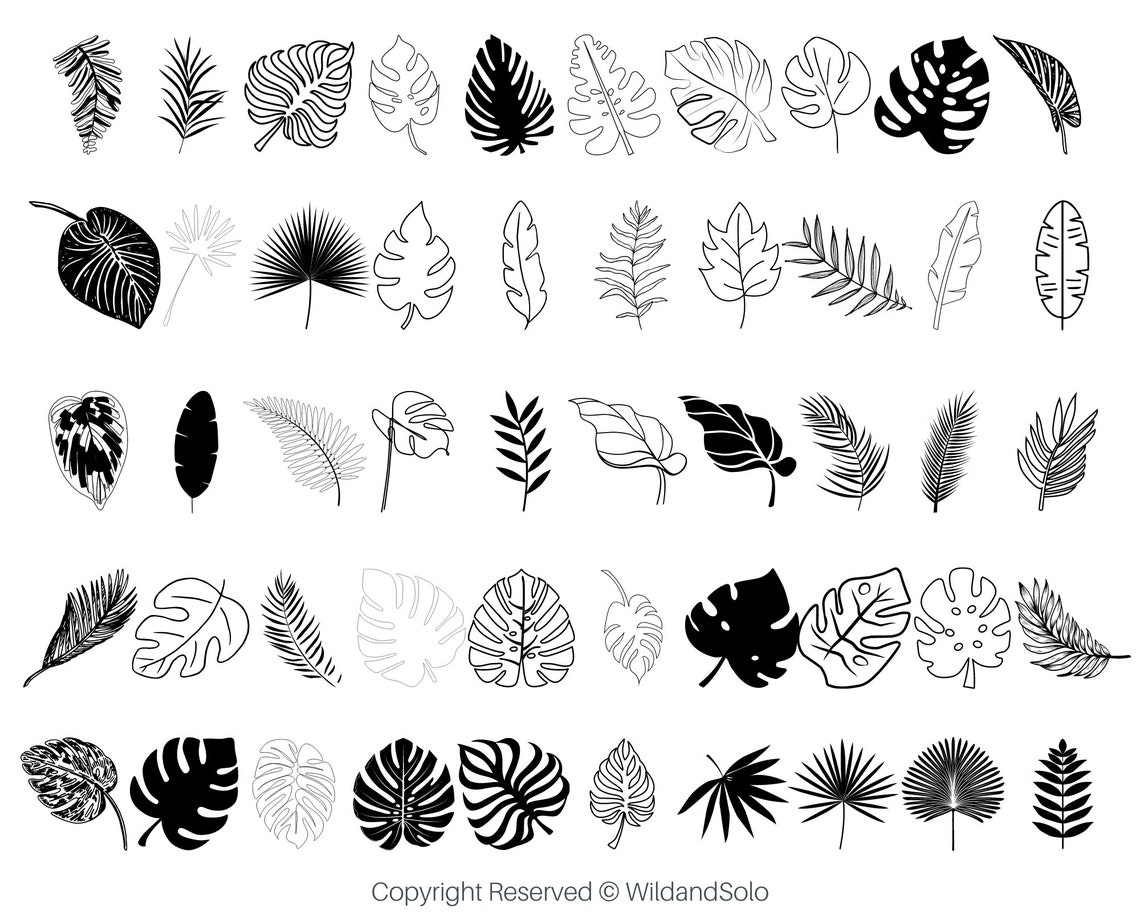 Tropical Palm Leaf Svg Tropical Party Decor Palm Leaf Svg - Etsy