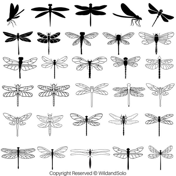 Dragonfly Wings for Crafting - Etsy