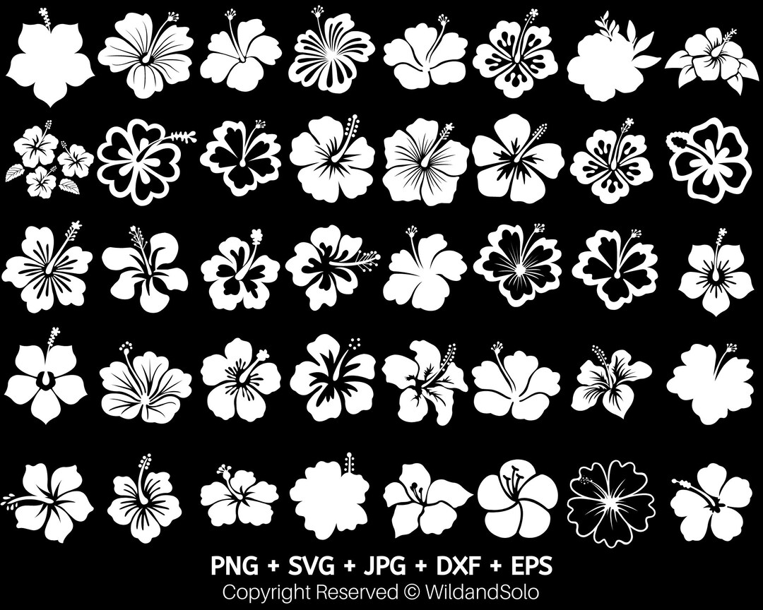 40 Hawaii Hibiscus Flower Svg Bundle, Hawaiian Flower Svg, Flowers ...