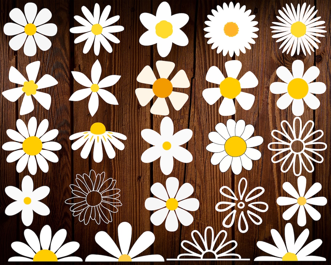 DAISY SVG DAISY Flower Clipart Daisy Svg Cut Files for - Etsy