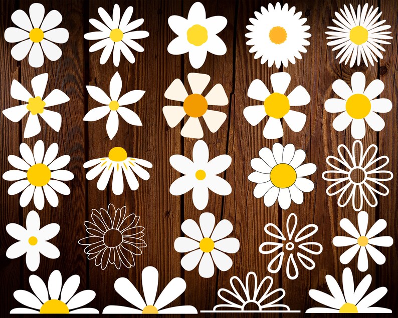 DAISY SVG DAISY Flower Clipart Daisy Svg Cut Files for - Etsy