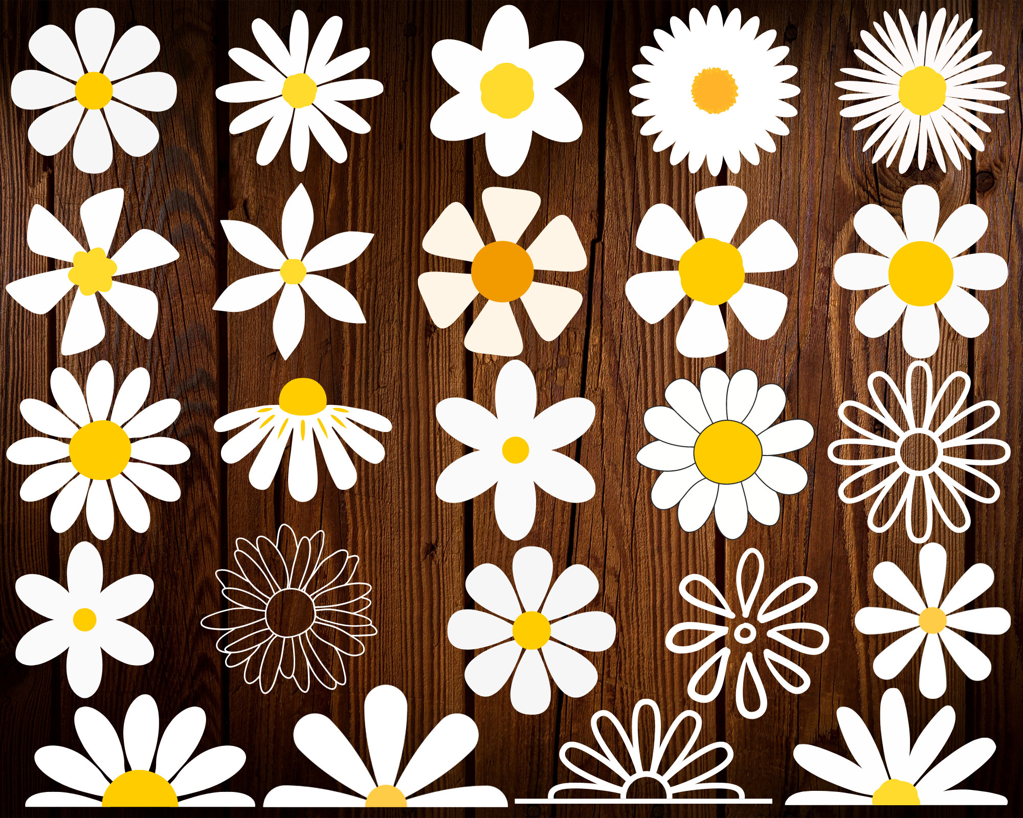 DAISY SVG DAISY Flower Clipart Daisy Svg Cut Files for - Etsy Australia