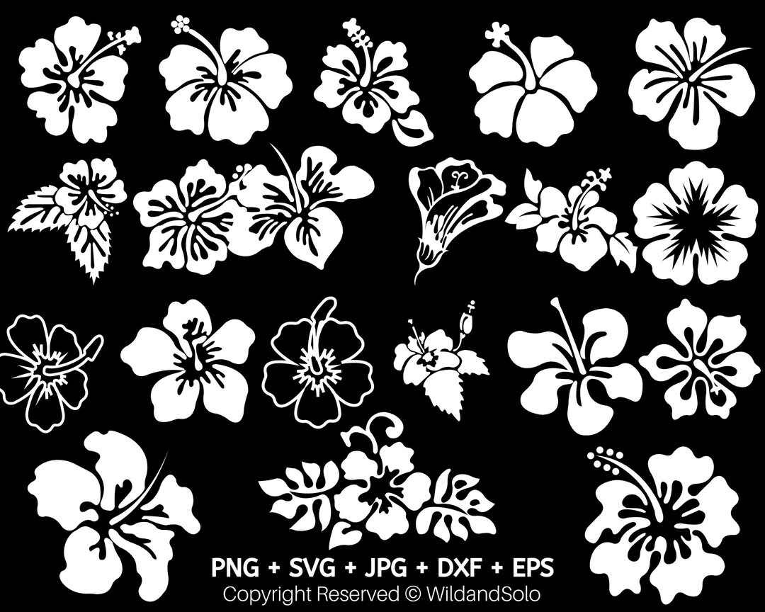 20 Hawaii Hibiscus Flower Svg Bundle Hawaiian Flower Svg Flowers