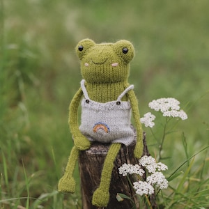 FROG Pdf Knitting Pattern in English. Cute Children Toy, Soft Toy. - Etsy