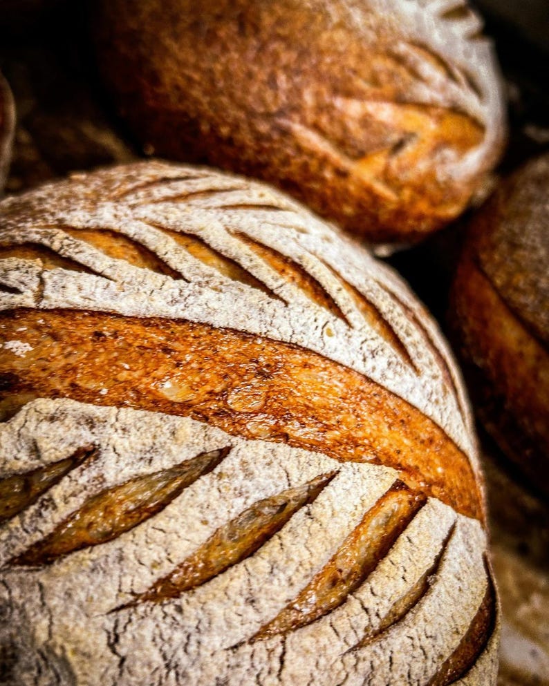 Foolproof Sourdough Bread Recipe | Easy Beginner Sourdough Starter ...