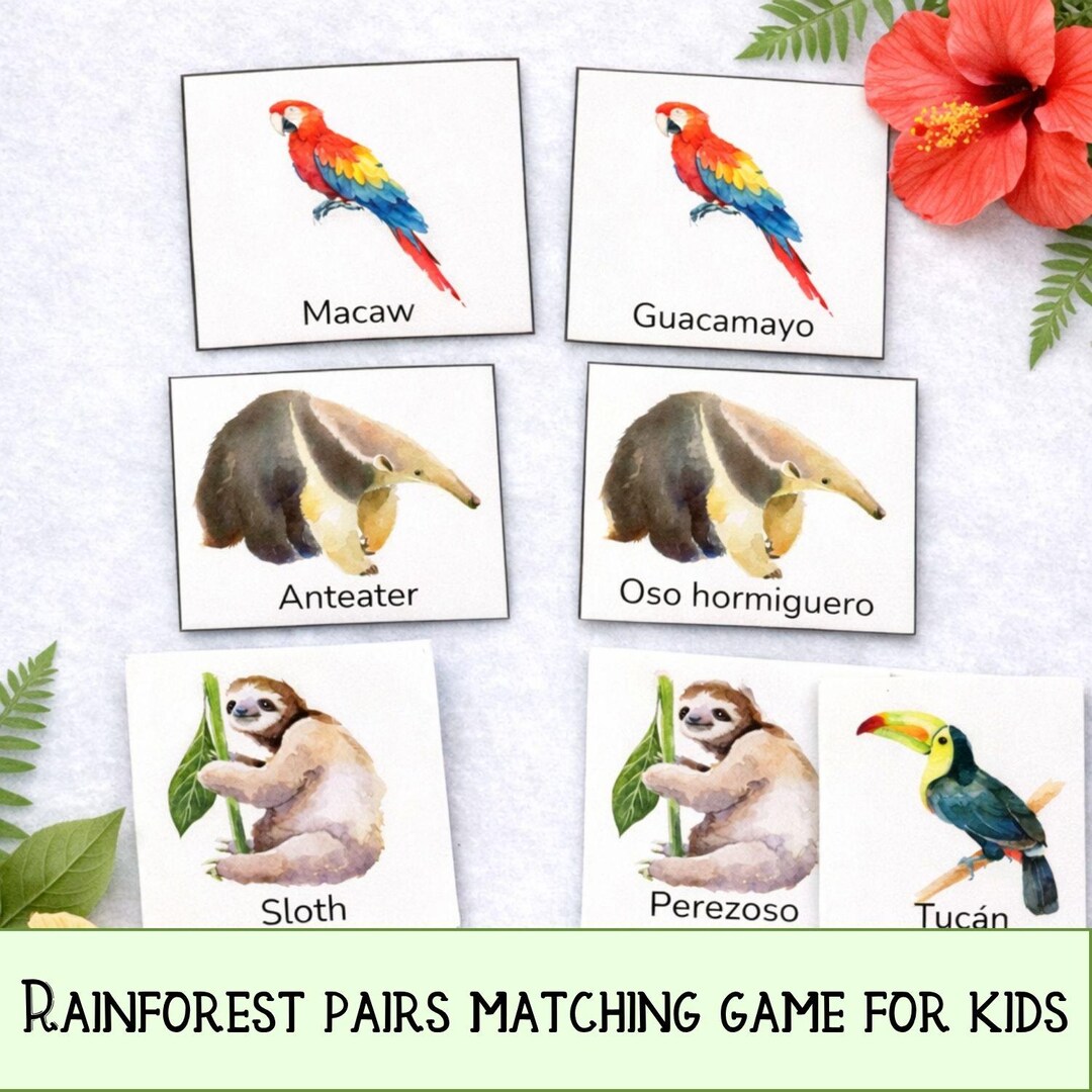 Rainforest Animals Memory Game for Kids, Costa Rican Animal Matching ...