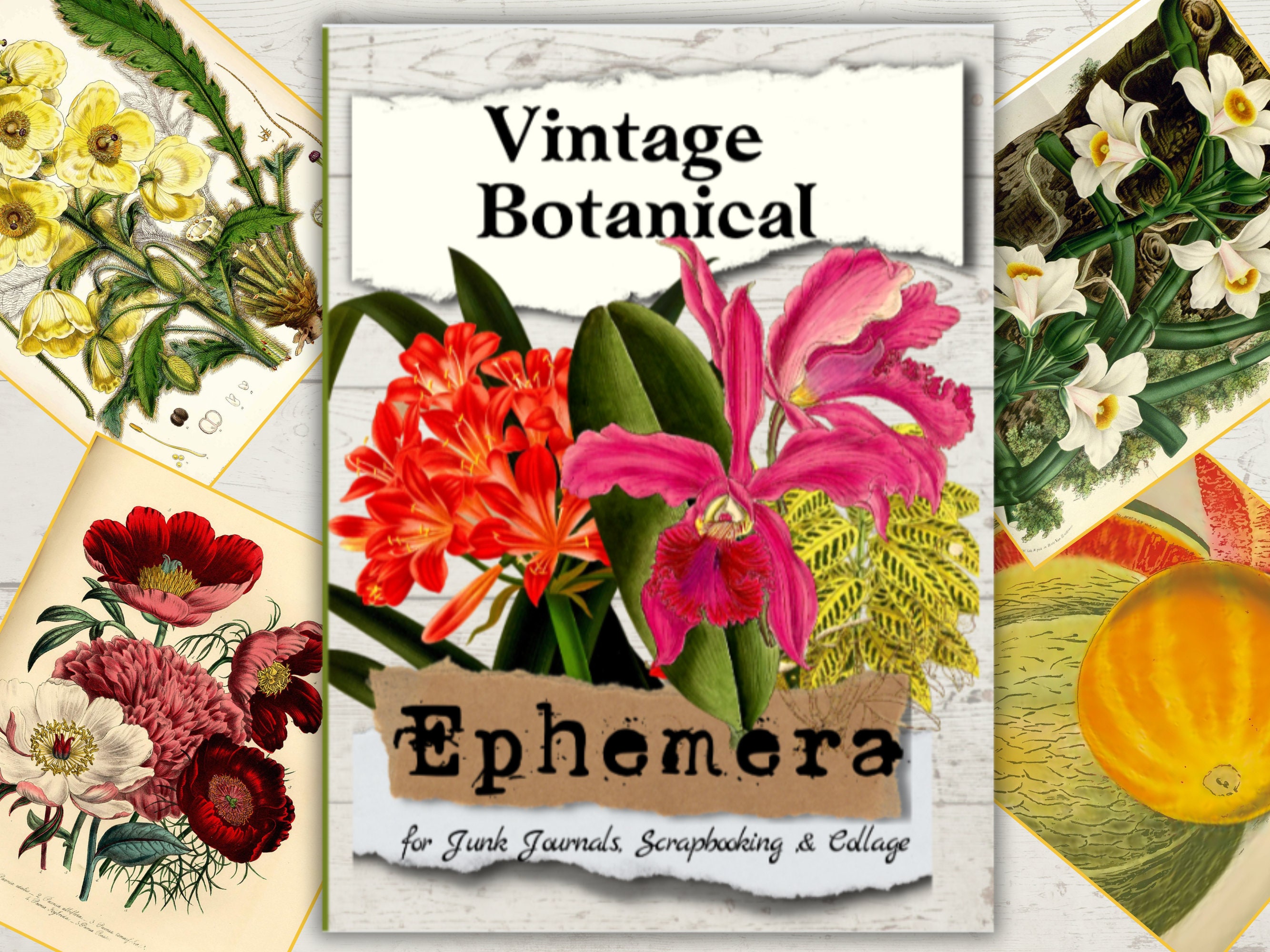 Vintage Botanical Ephemera Printable for Junk Journals, Collage, Card ...