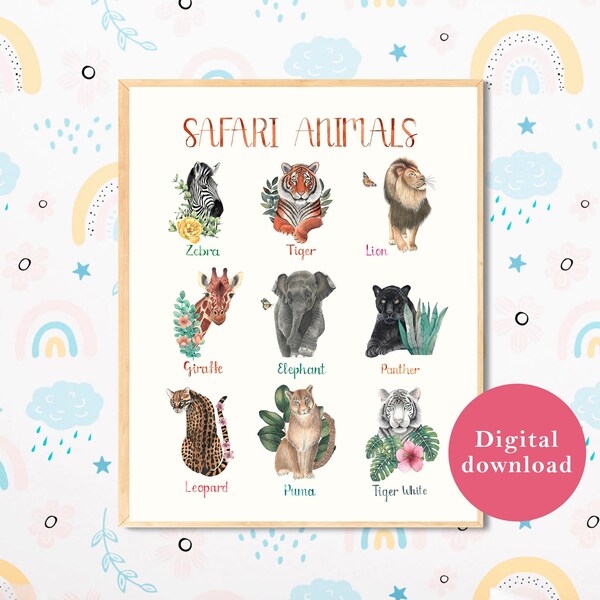 Safari Birthday Classroom Decor - Etsy