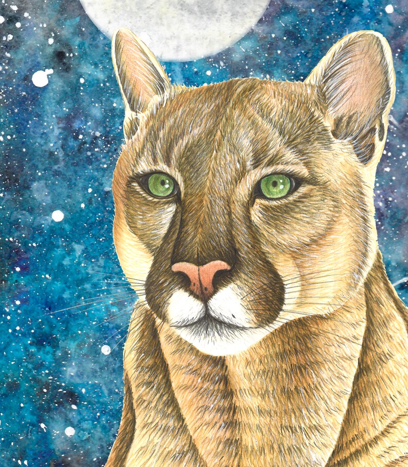 Puma Art Print, Moon and Stars, Jungle Animals Painting, Nursery Wall ...
