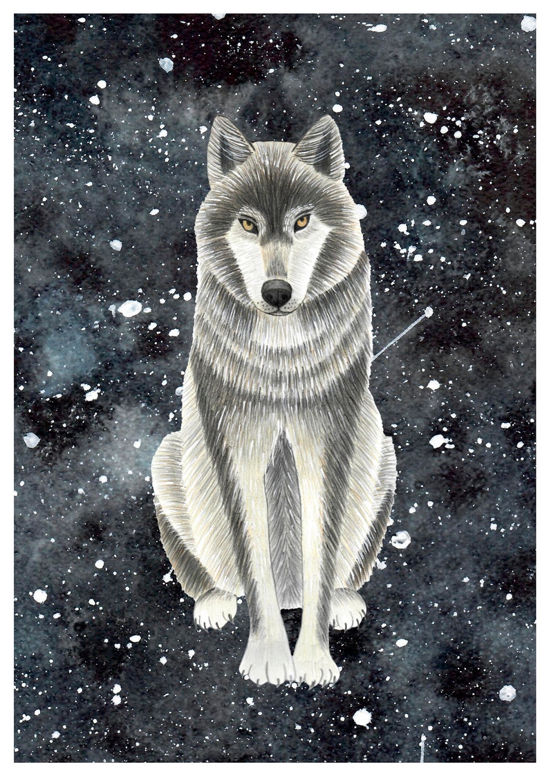 Night Wolf Art Print, Starry Sky Painting, Woodland Animal Artwork - Etsy