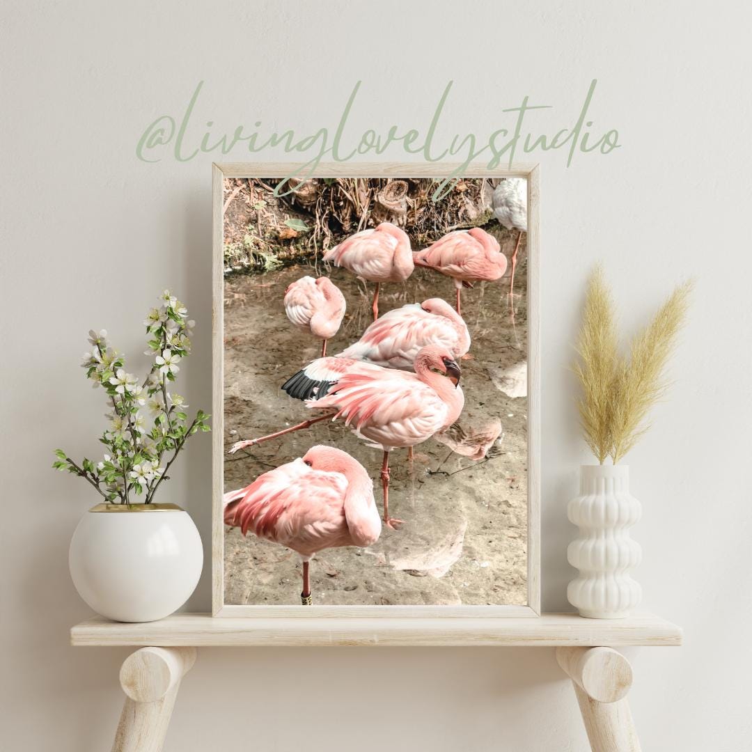 Pink Flamingos - Etsy