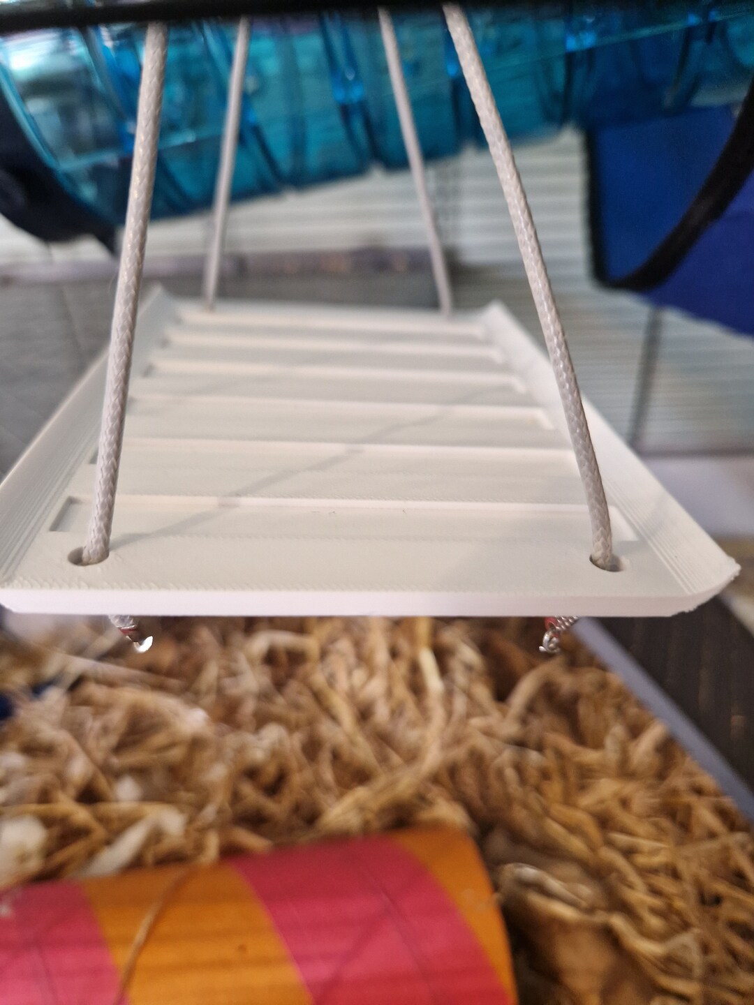 Hamster / Rat / Gerbil Cage Ledge Swing, Climbing Platform - Etsy