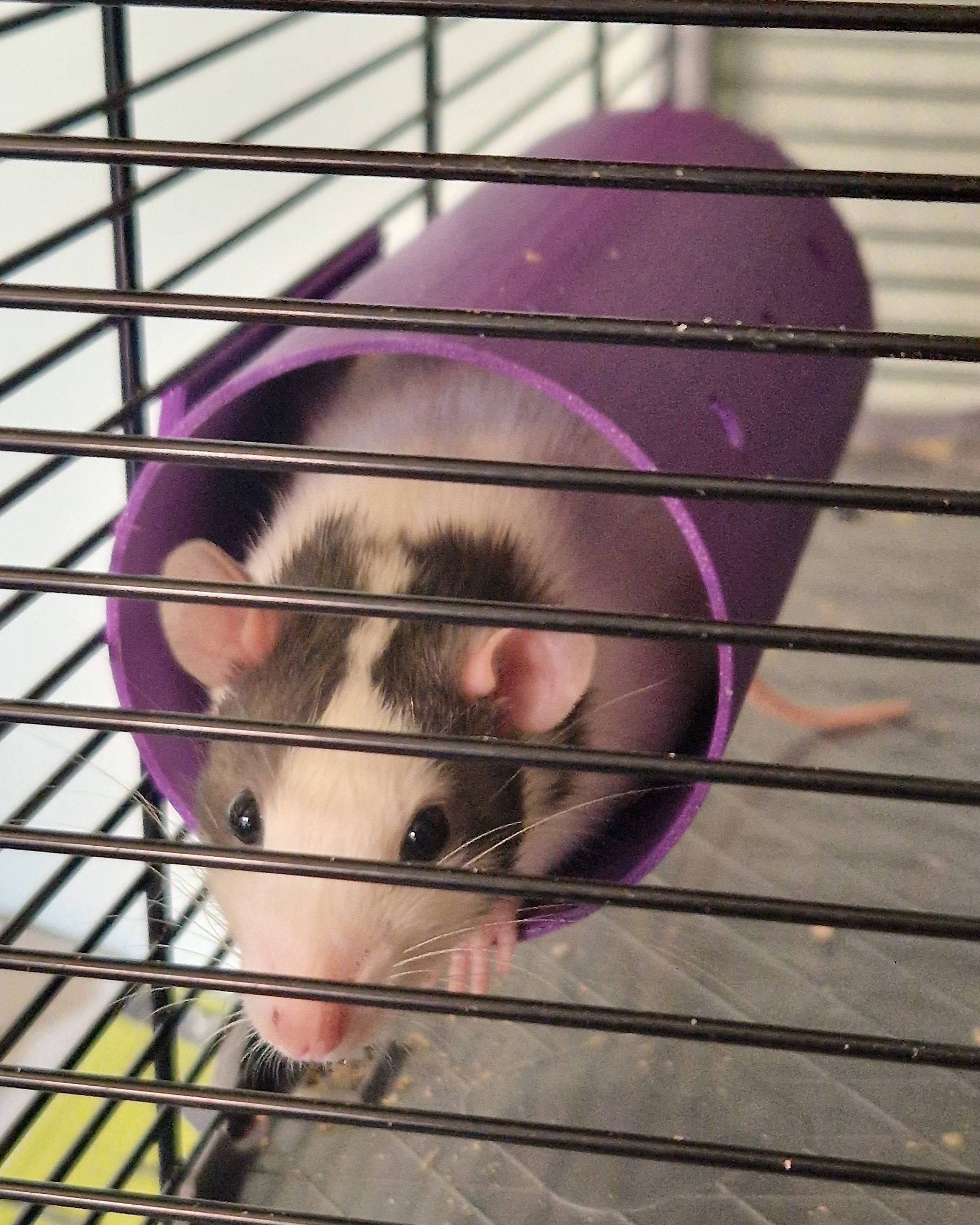 Hamster / Rat / Gerbil Cage Tunnel, Climbing Tunnel, Pet Tube - Etsy UK