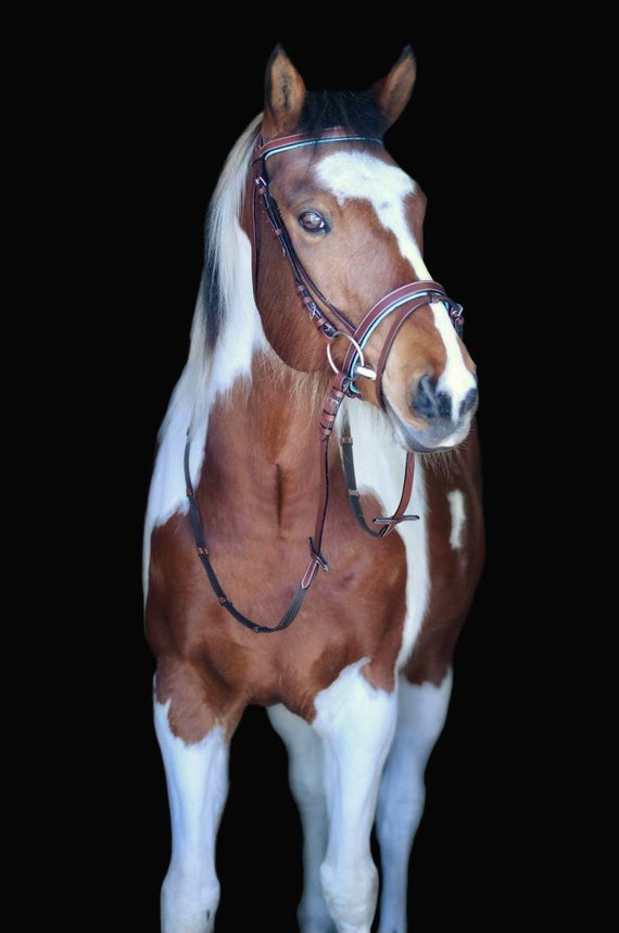 English Horse Bridle Leather