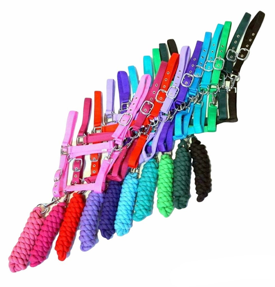 Nylon Halter & Lead for Horses 10 Colors - Etsy