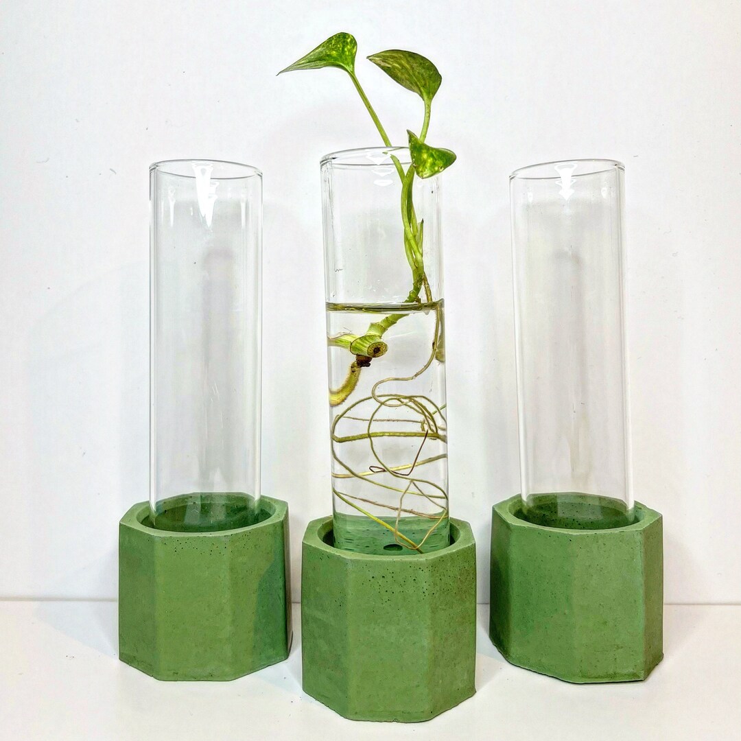 Propagation Set Concrete Propagation Set Plant Propagation Propagation ...