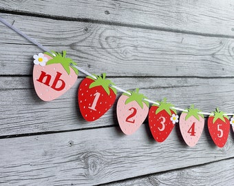 Strawberry First Birthday Photo Banner. 12 Month Photo Banner. First ...