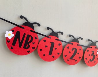 Ladybug First Birthday Photo Banner Ladybug Monthly Photo - Etsy